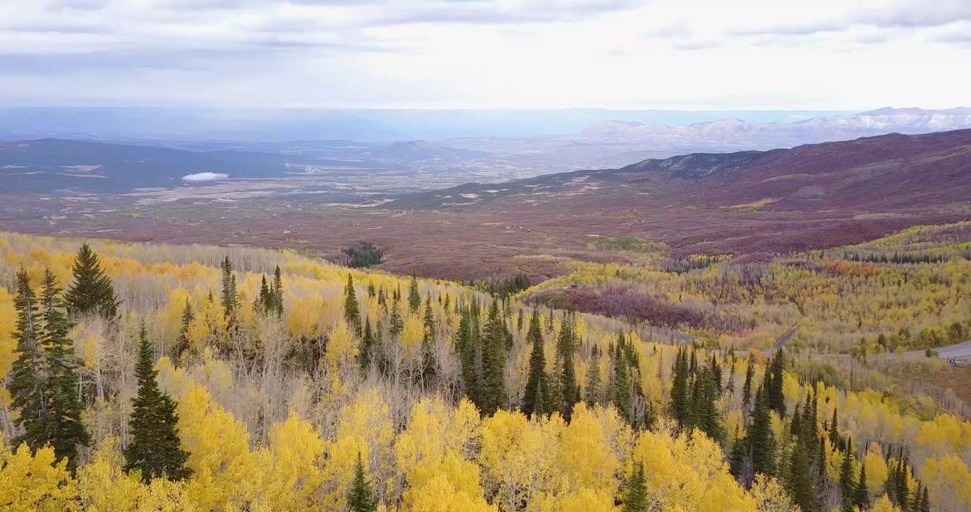 Forecast - Fall - Wixie